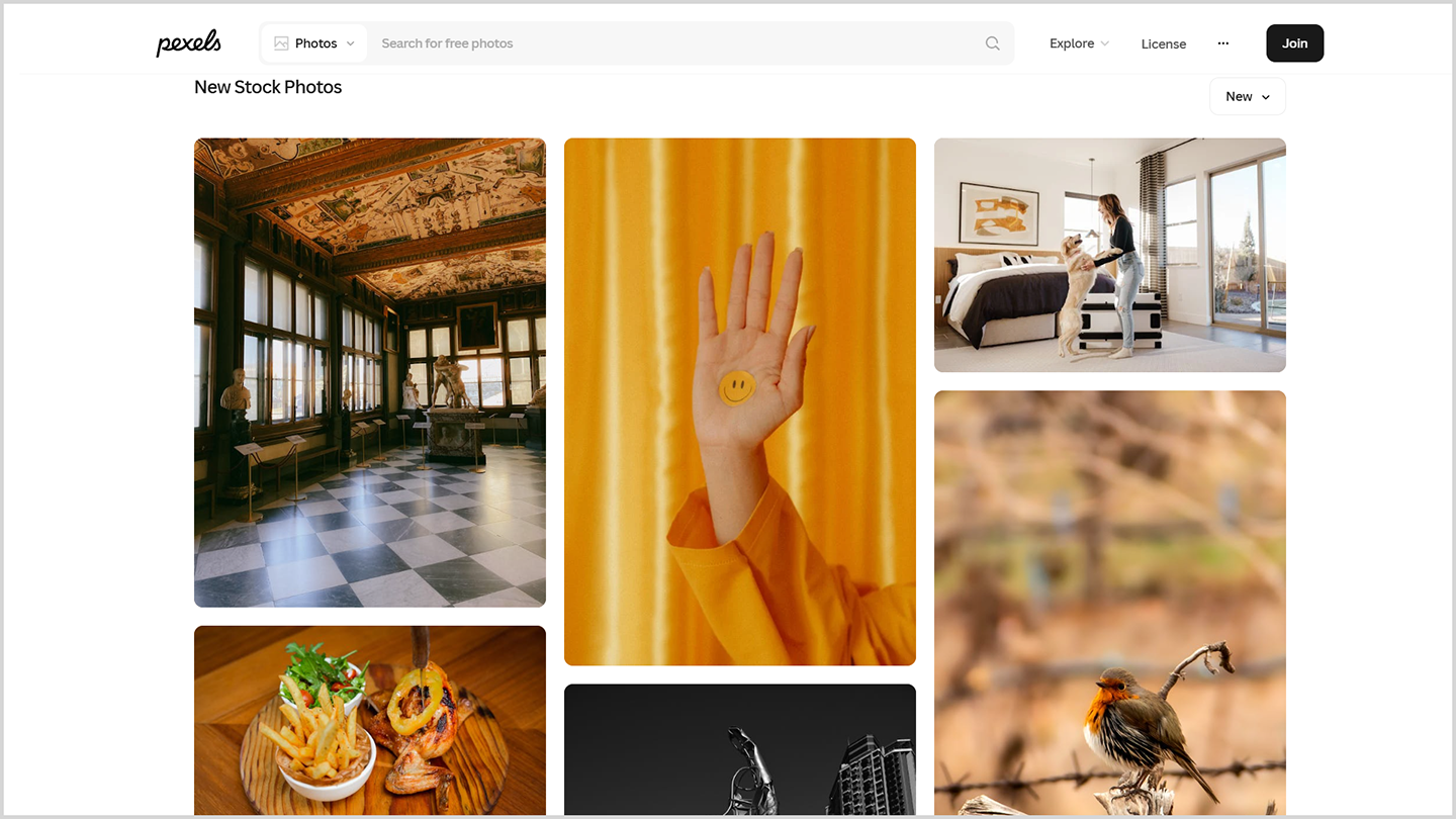 5 Ultimate Guides to Finding Free Images for Book Covers | Bookcovermall